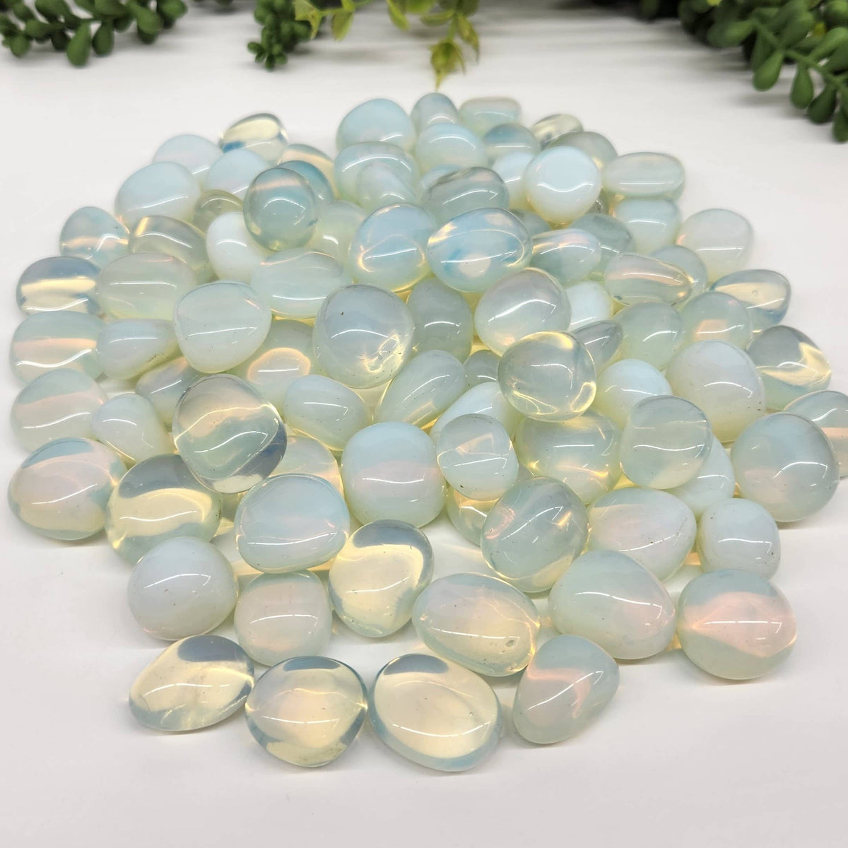Opalite Crystal Tumbled Stone – Mutual Adoration + POST