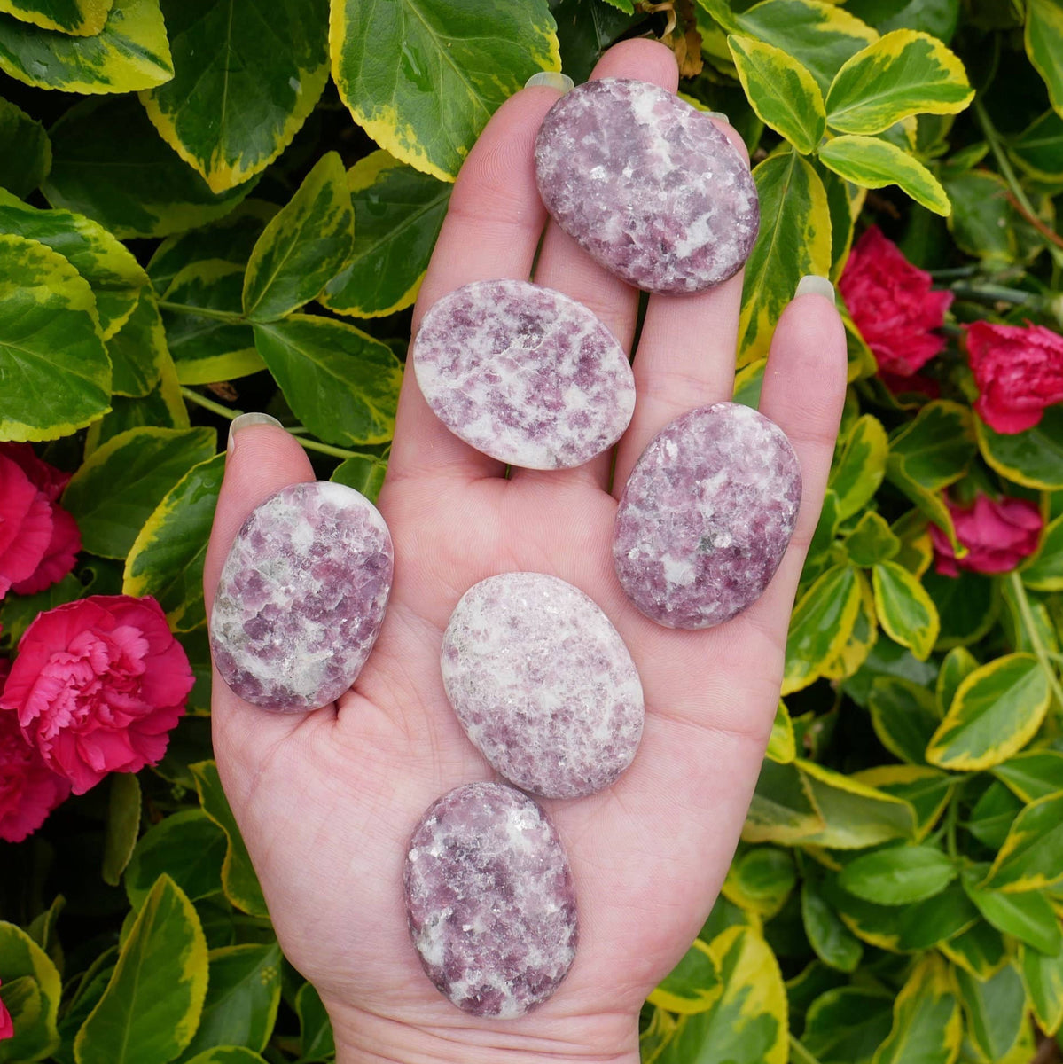 Lepidolite Worry Stone Meditation Crystal – Mutual Adoration + POST