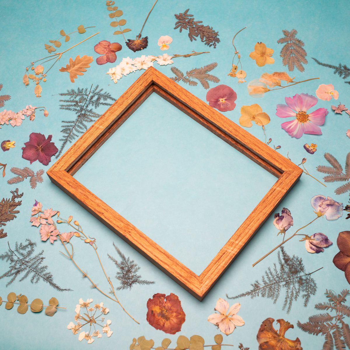 02/13/2026 Friday 3-5pm Botanical Collage Workshop: Framed Pressed Flo ...