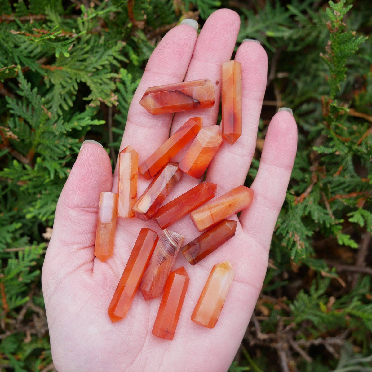 Carnelian Point Crystal – Mutual Adoration + POST