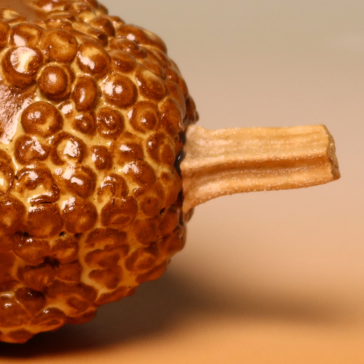 Extra Large Tricolor Ceramic Squash – Mutual Adoration + POST