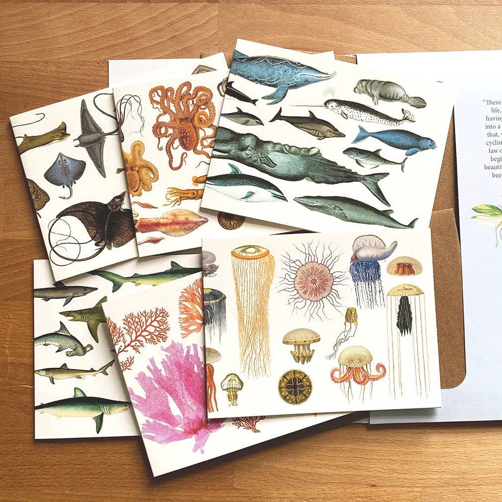 Ocean Cards 6 Pack – Mutual Adoration + POST