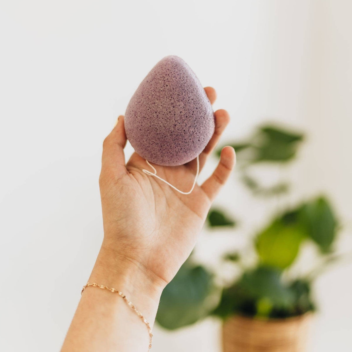 Lavender Konjac Facial Sponges – Mutual Adoration + POST