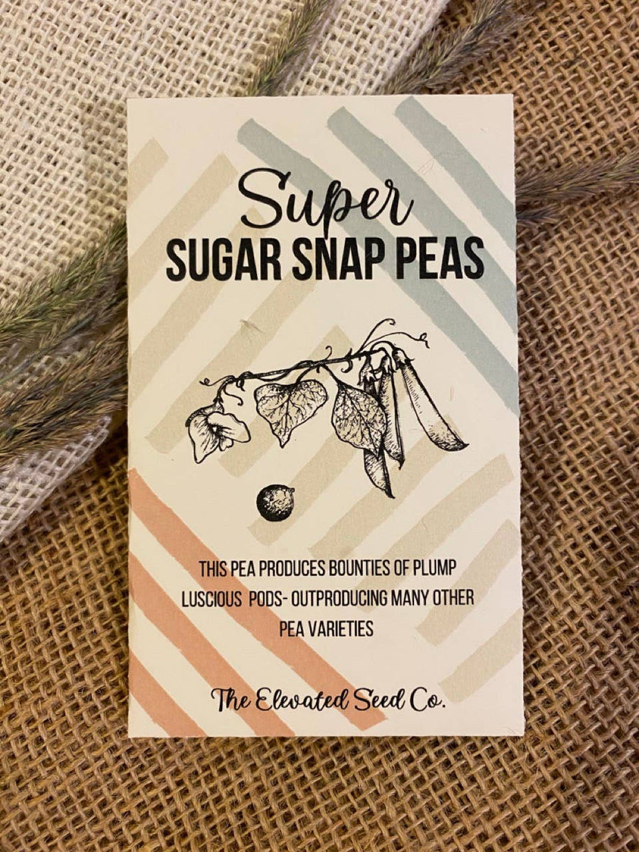Super Sugar Snap Peas Garden Seeds – Mutual Adoration + POST