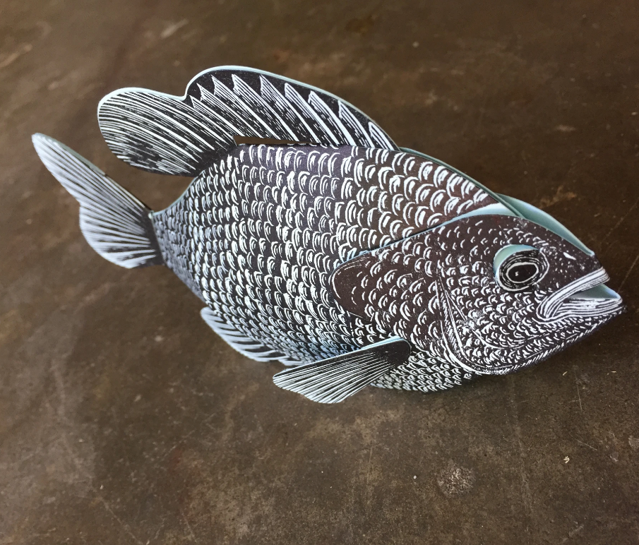 Blue Gill Paper Sculpture Kit – Mutual Adoration + POST