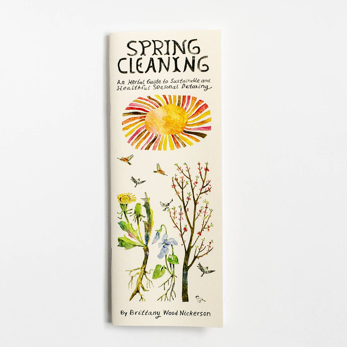 Spring Cleaning: An Herbal Guide to Sustainable and Healthful Seasonal ...