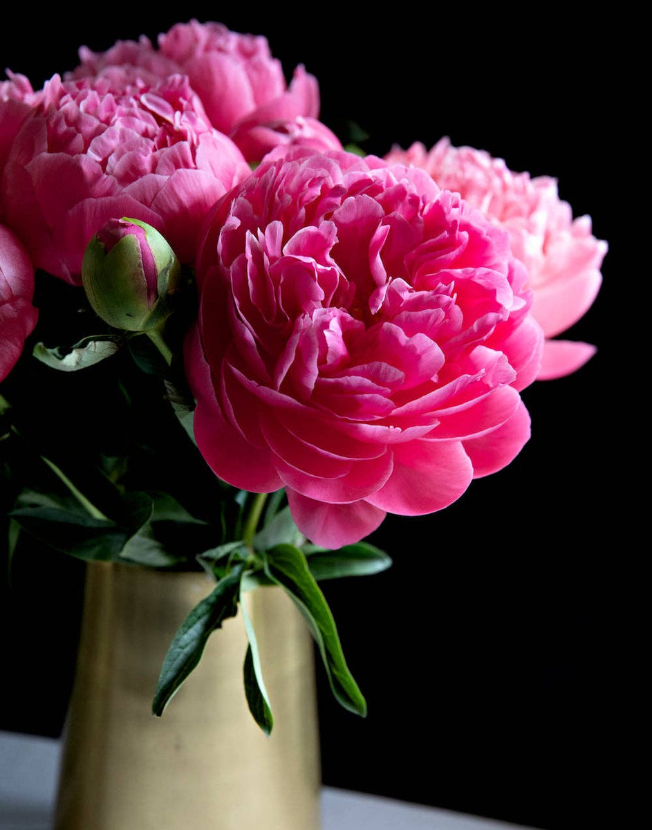 Kindness Pink Floral Paint By Numbers Kit – Mutual Adoration + POST