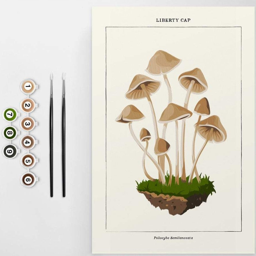 Mushroom Botanical Study Paint by Numbers Kit – Mutual Adoration + POST